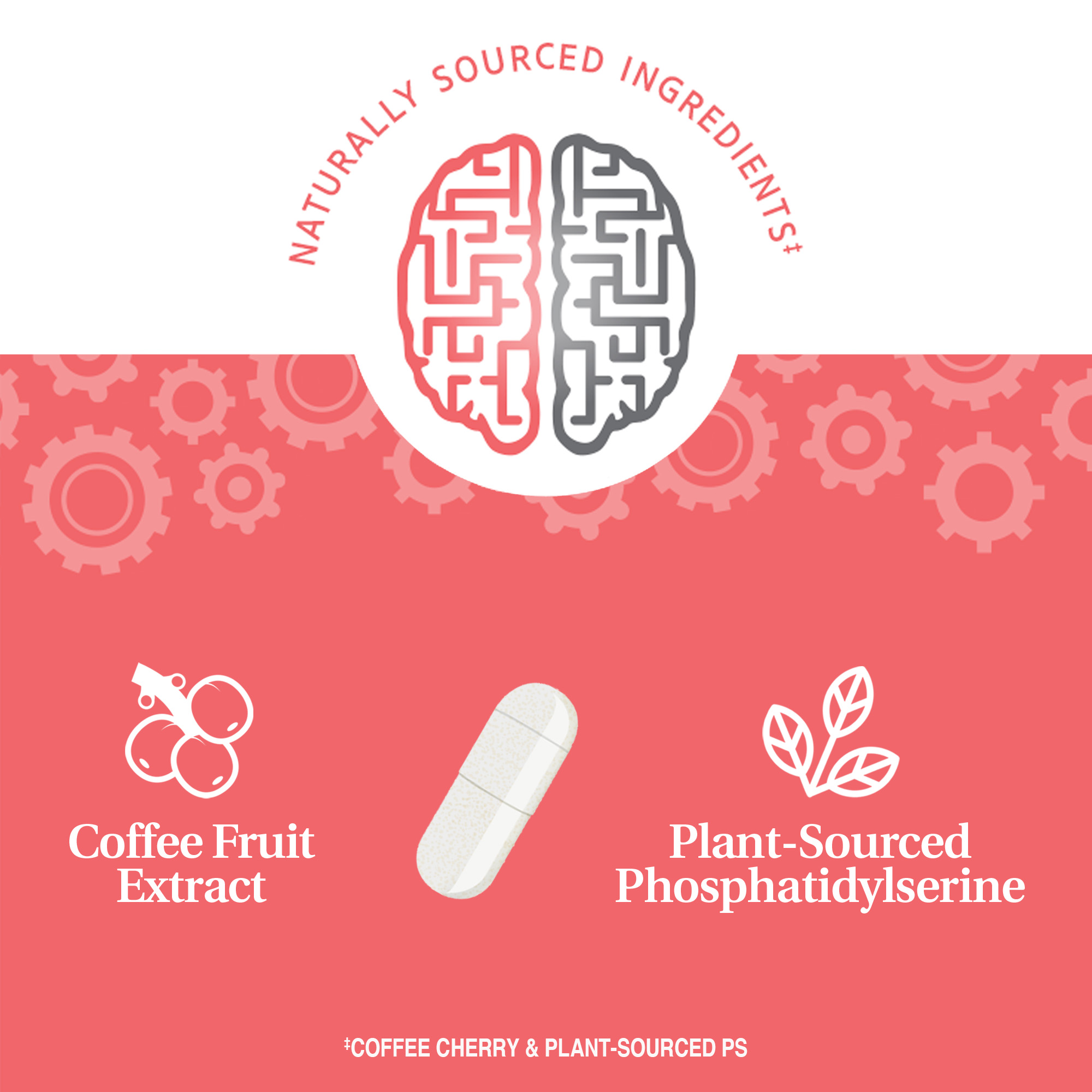 21st Century, Brilliant Brain Performance, 30 Capsules