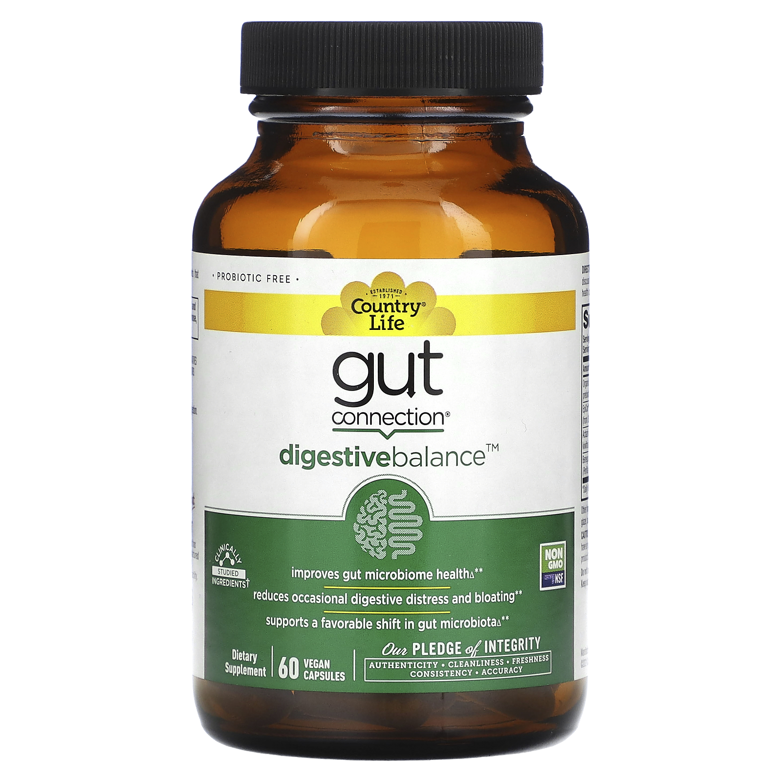 Country Life, Gut Connection, Digestive Balance, 60 Vegan Capsules