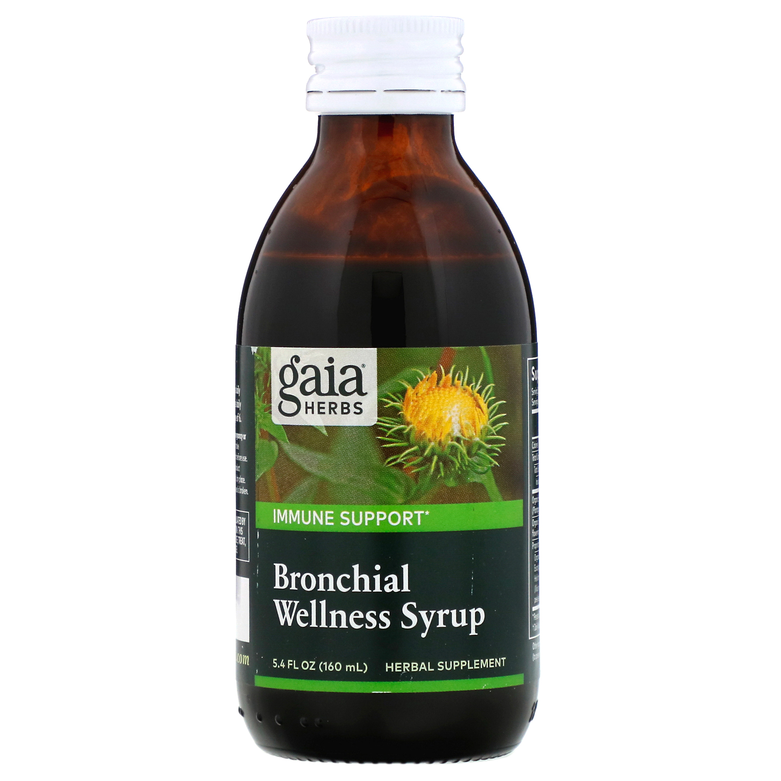 Gaia Herbs, Bronchial Wellness Syrup, 5.4 fl oz (160 ml) - iHerb