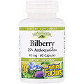 Natural Factors, Bilberry, 40 mg, 60 Capsules - iHerb