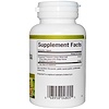Natural Factors, Ginkgo Biloba, Phytosome, 60 mg, 60 Capsules - iHerb.com