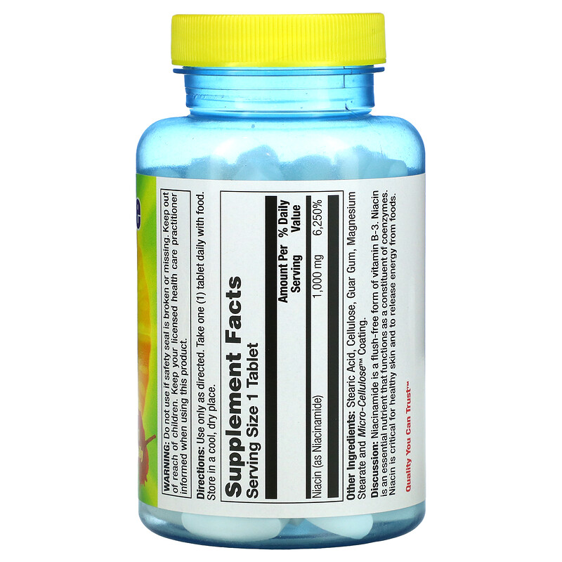 Nature's Life, Niacinamide, 1,000 mg, 100 Tablets - iHerb