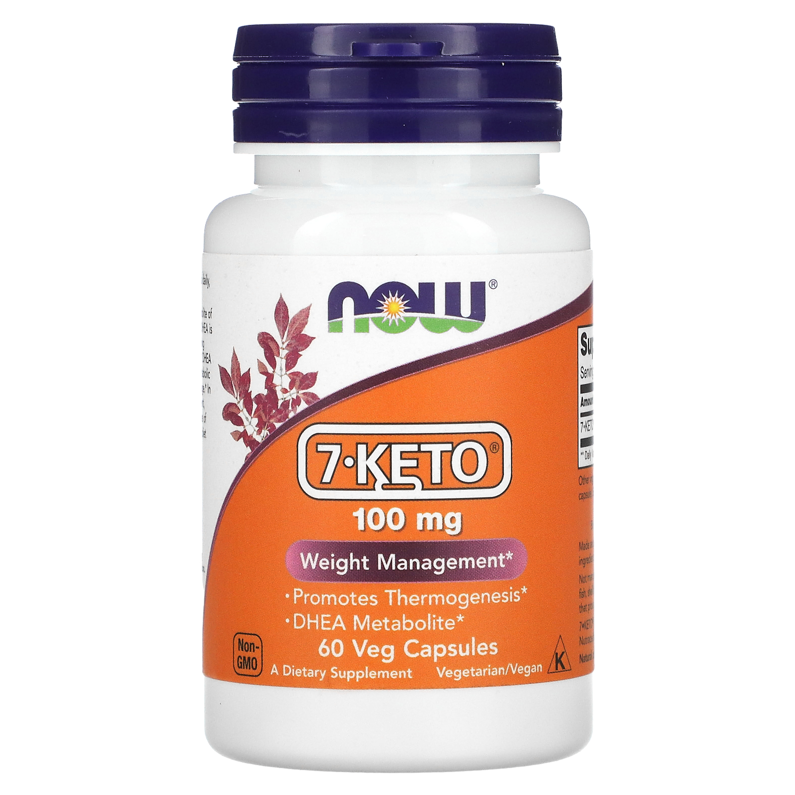 NOW Foods, 7-KETO, 100 mg, 60 Veg Capsules
