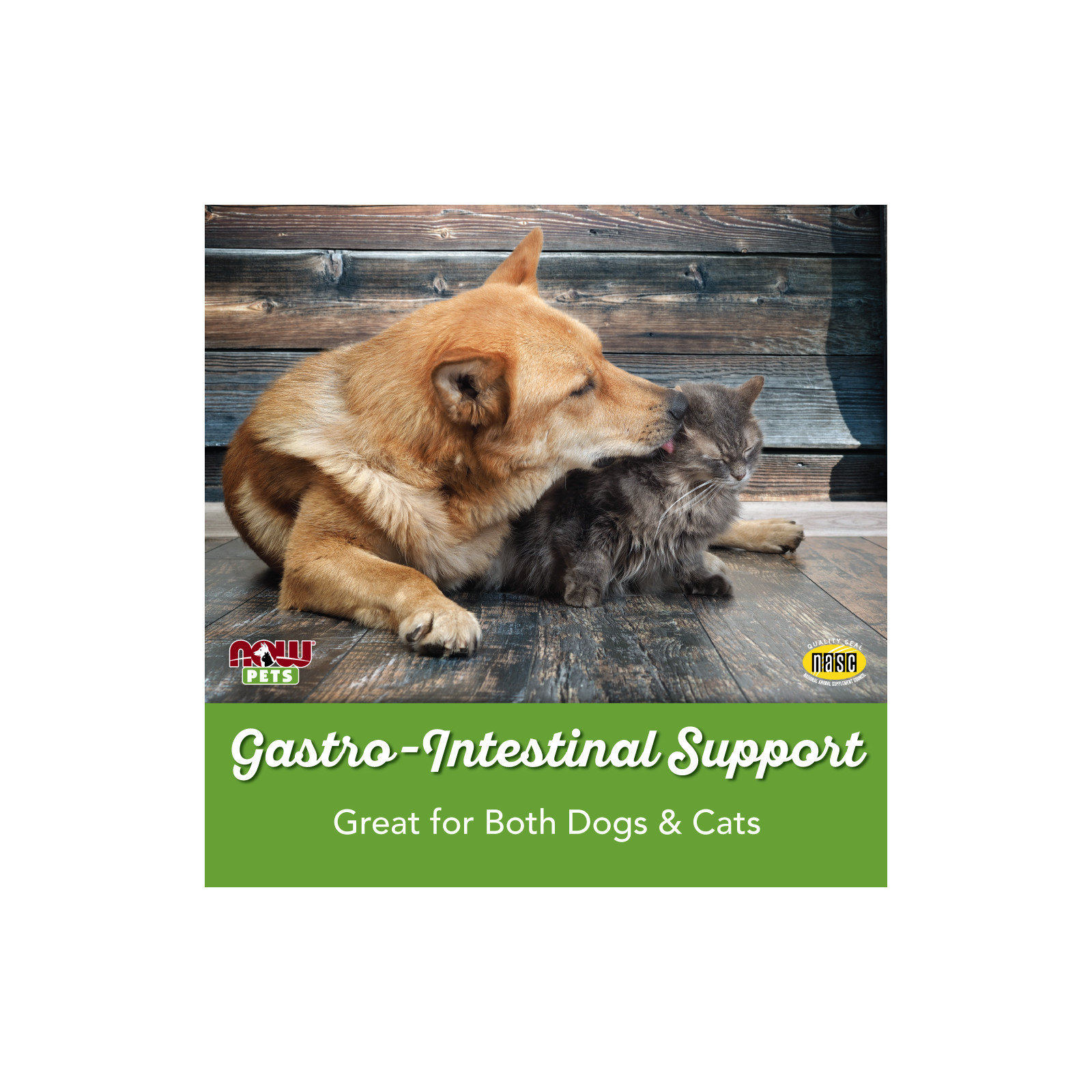 NOW Foods, Pets, GI Support, For Dogs/Cats, 90 Chewable Tablets, 1.08 ...