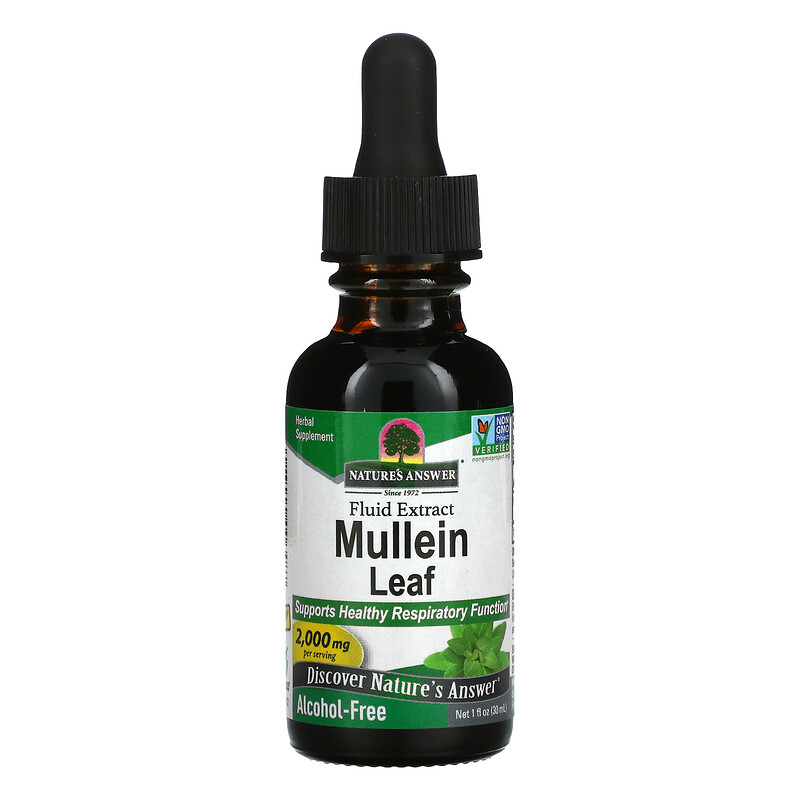 Nature's Answer, Mullein Leaf, Fluid Extract, Alcohol-Free, 2,000 mg, 1 ...