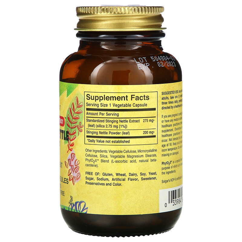 Solgar مستخلص أوراق نبات القراص الكبير، 60 كبسولة نباتية Iherb